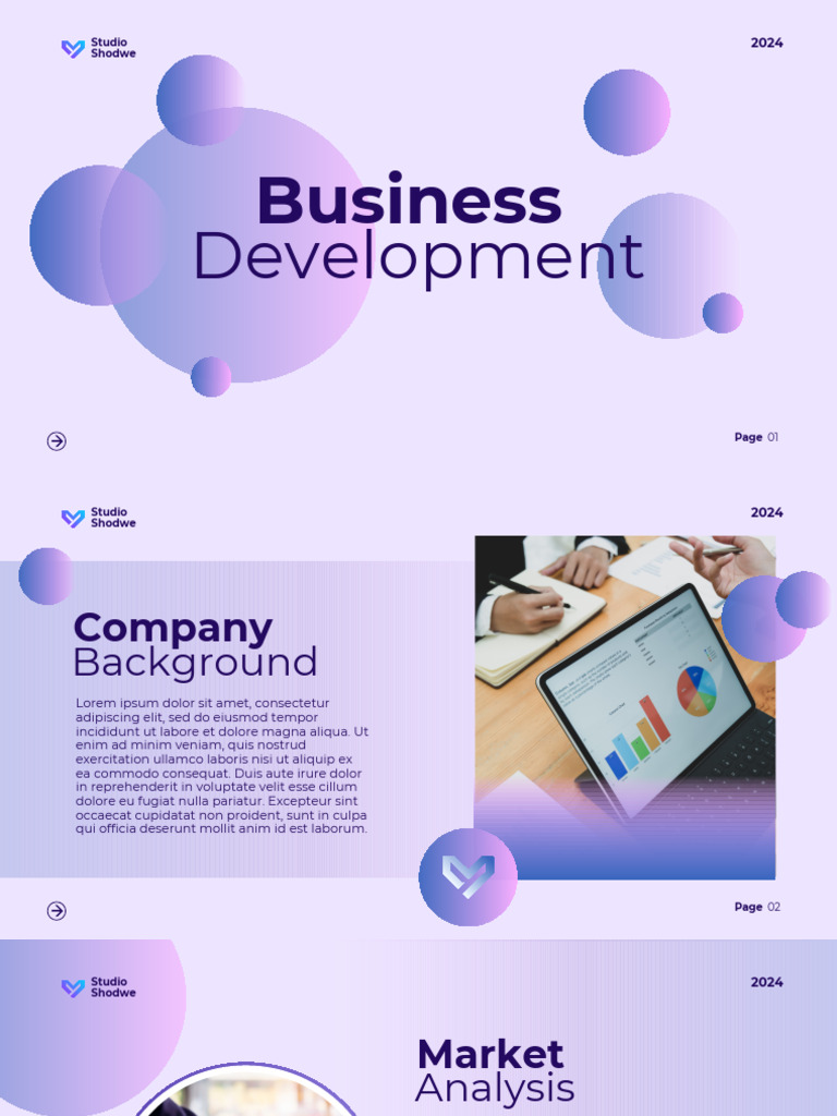 Studio Shodwe Business Development 2024 | PDF