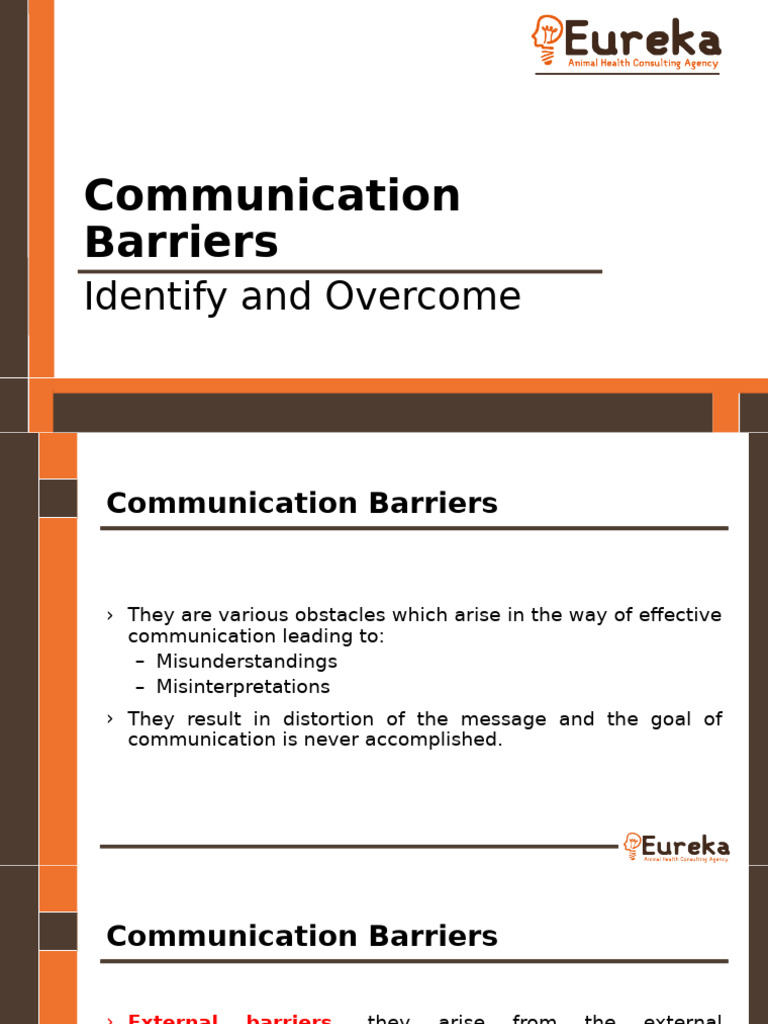 07- Communication Barriers_Identify | PDF | Communication | Speech