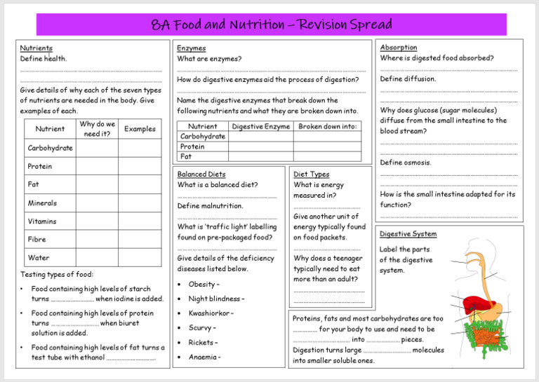 8A Food and Nutrition | PDF