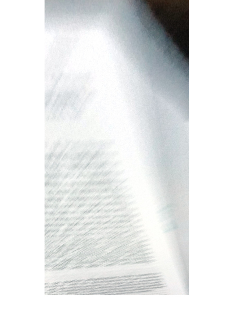 ACE Scanner - 2025 - 01 - 26 | PDF