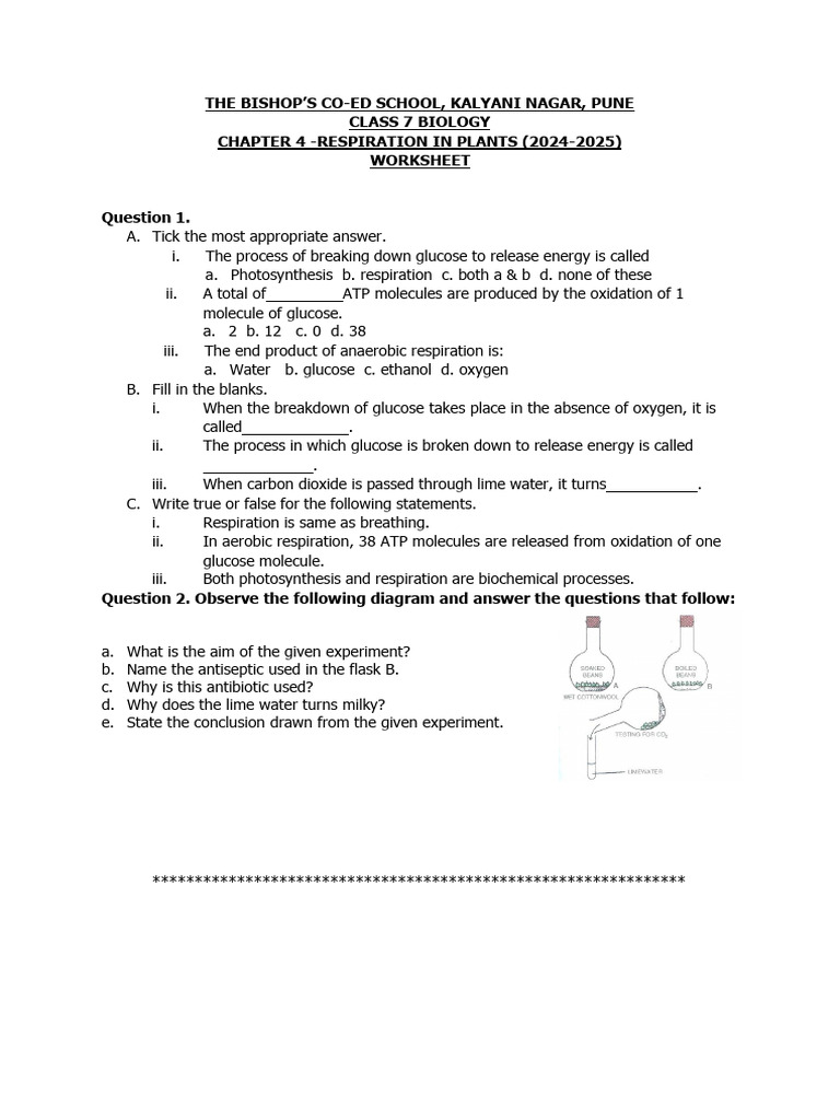 02102024034630CLASS 7 Biology - Respiration Worksheet | PDF