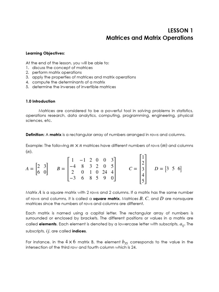 IE221_Lesson | PDF | Matrix (Mathematics) | Determinant