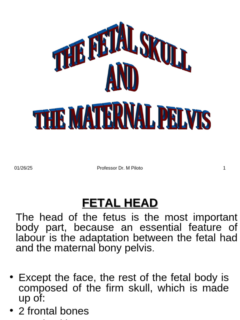 Fetal Head and Pelvis Anatomy Overview | PDF | Pelvis | Skeletal System