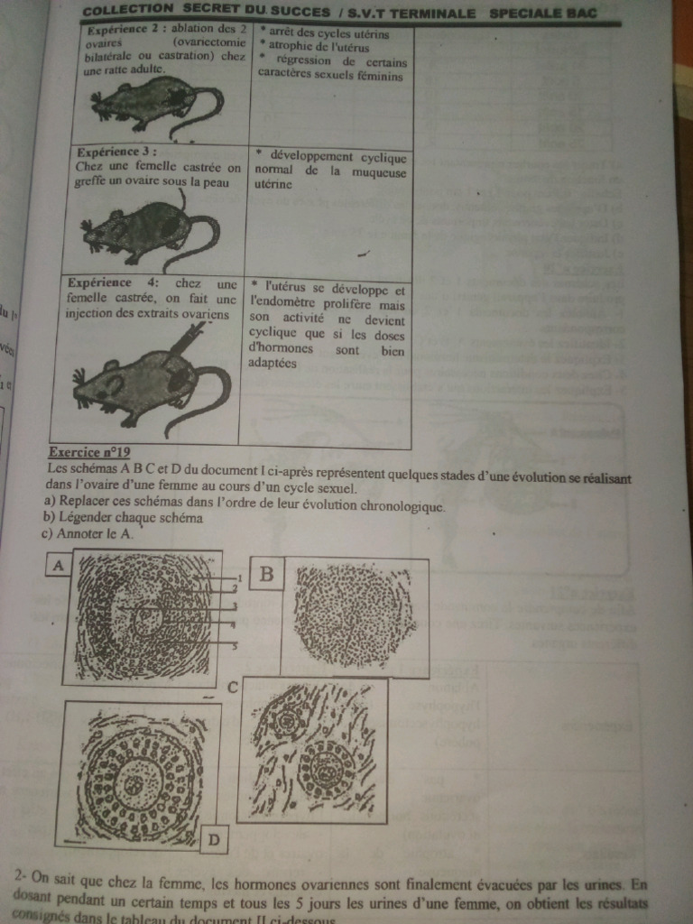 PDF Phoenix 20250126 093923 | PDF