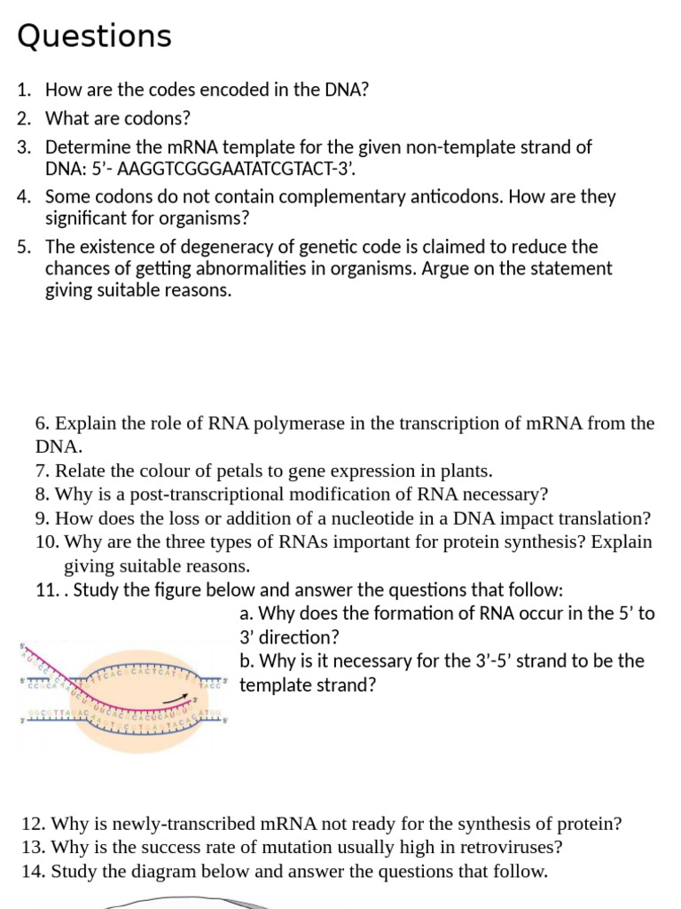 DNA and RNA: Key Concepts Explained | PDF