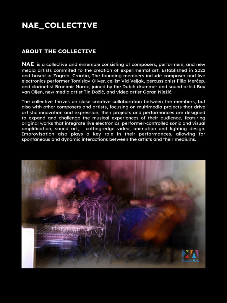 NAE_collective_info | PDF | Orchestras | Electronic Music