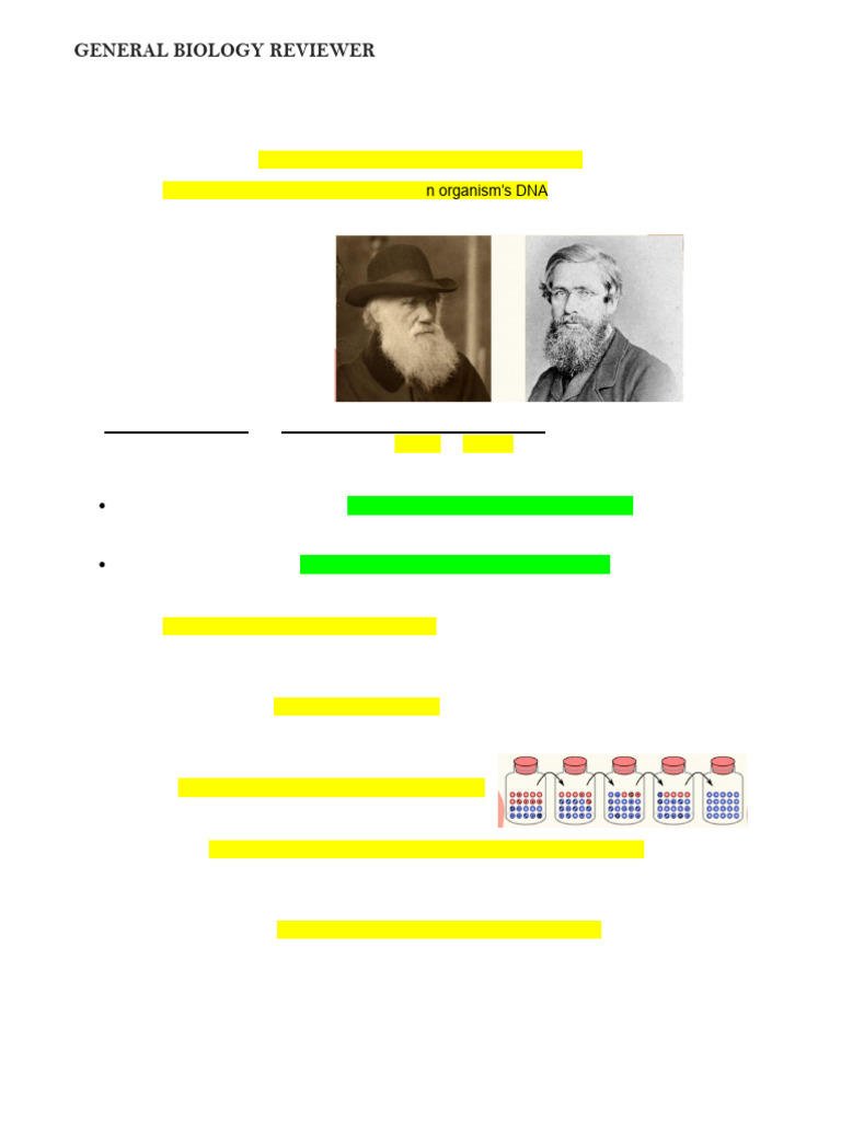 General Biology Reviewer | PDF | Evolution | Genetics