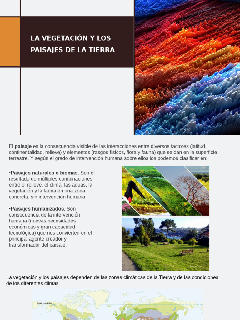 Paisajes y Climas de la Tierra | PDF | Clima | Selva
