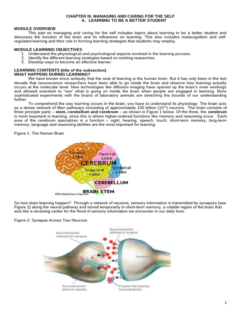 Understanding Self-Management in Learning | PDF | Metacognition | Memory