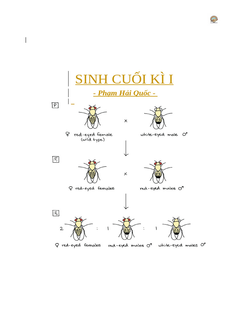 SINH HK1 - Sao chép (2) | PDF