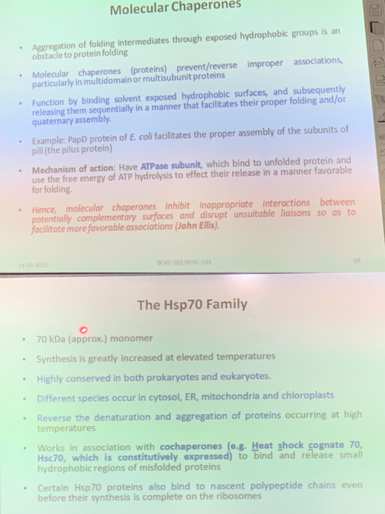 Molecular Chaperones | PDF