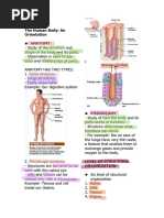 Human Anatomy Notes | PDF
