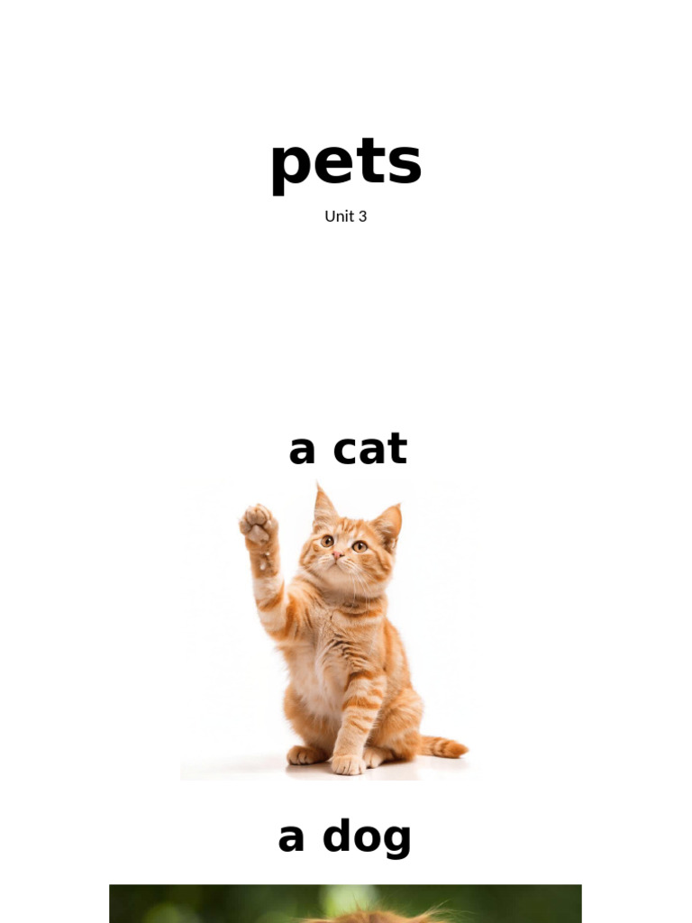 Pets Unit 3 Super Minds 1 | PDF