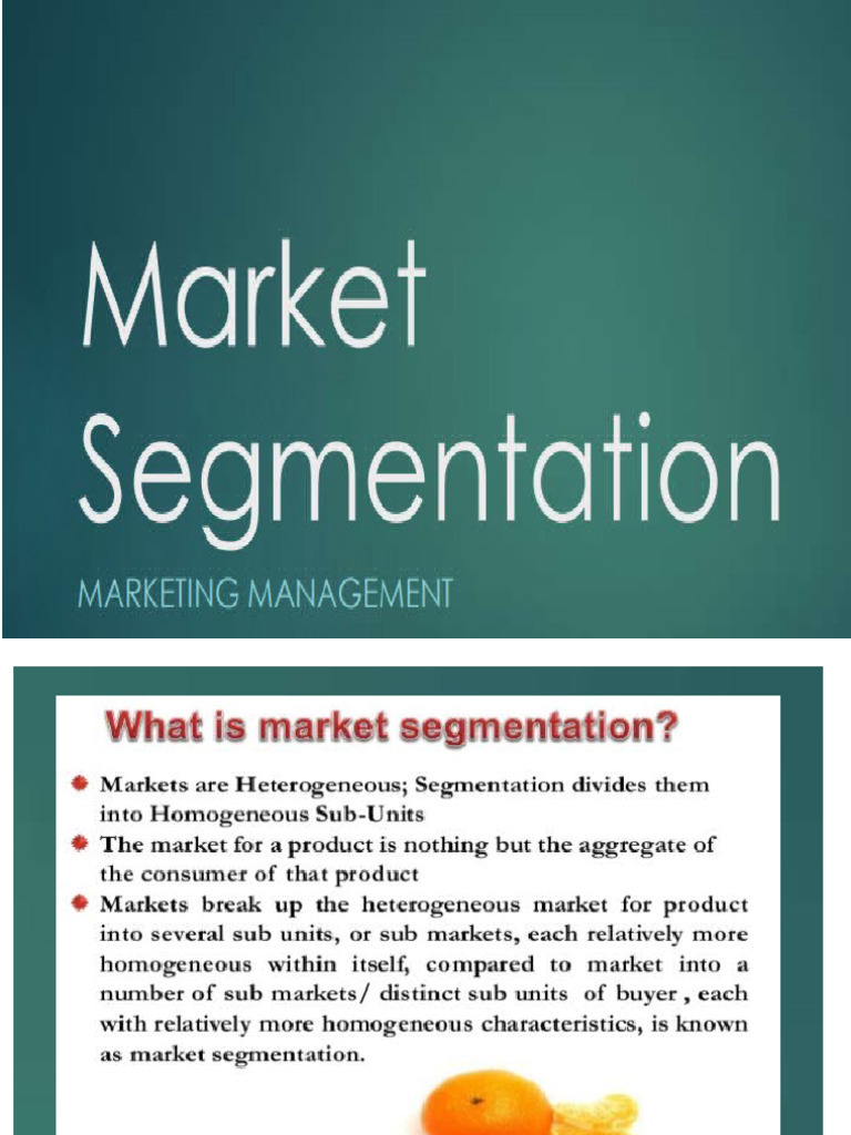 Unit 2 MM Segmentation | PDF