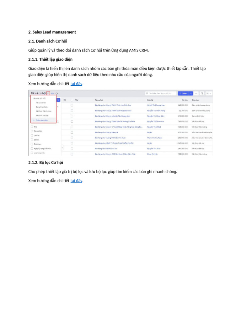 CRM Sales Lead Management | PDF