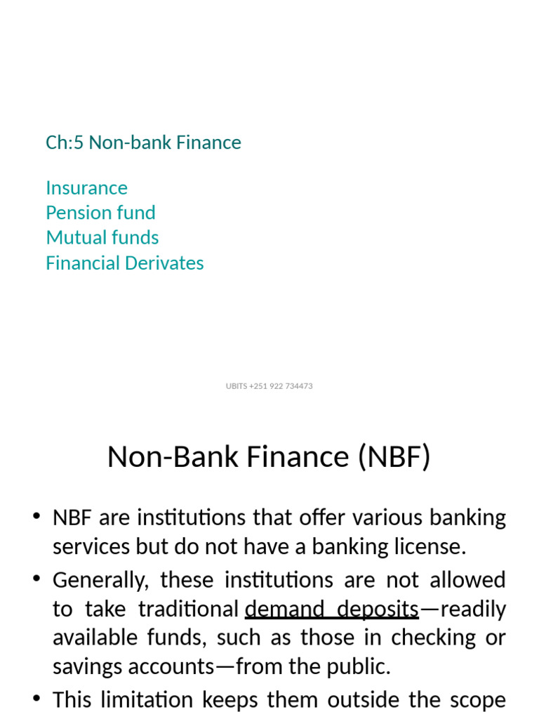 Understanding Non-Bank Finance Options | PDF | Investment Fund | Option ...
