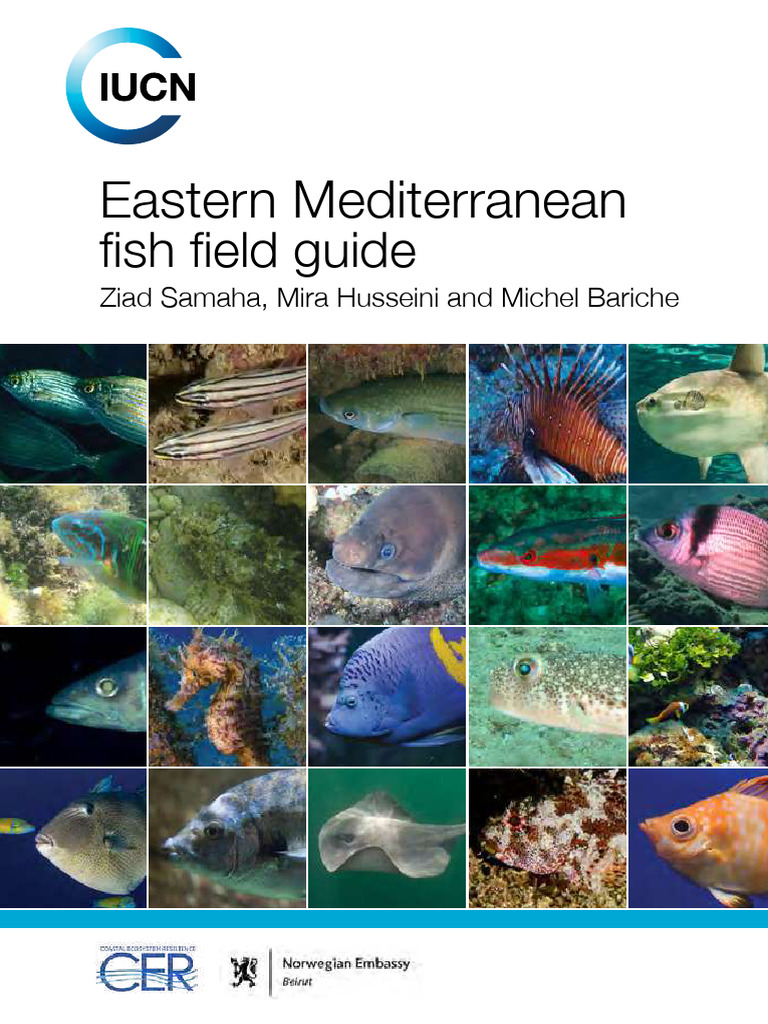 Eastern Mediterranean Fish Field Guide | PDF | International Union For ...