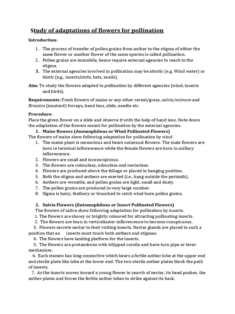 Flower Adaptations for Pollination Study | PDF | Flowers | Pollination