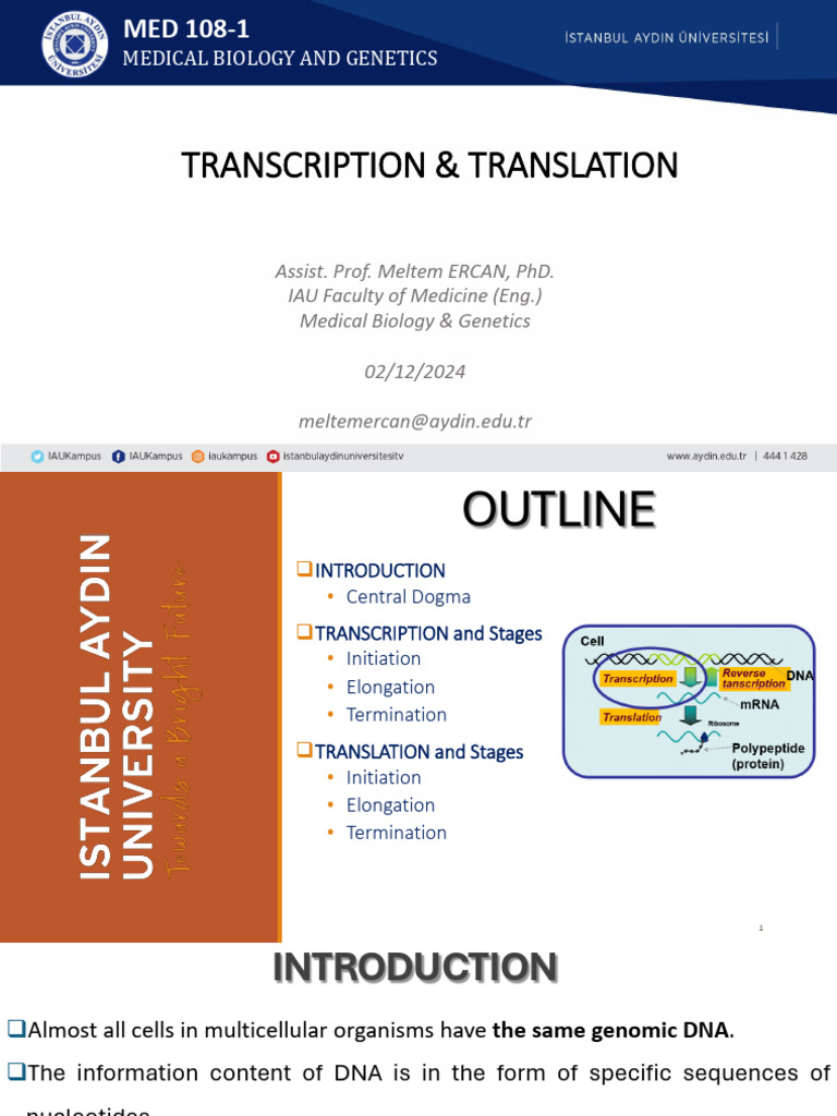 3 Lecture Transcription and Translation | PDF | Translation (Biology) | Rna