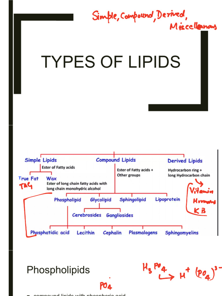 Types of Lipids | PDF | Lipid | Molecular Biophysics