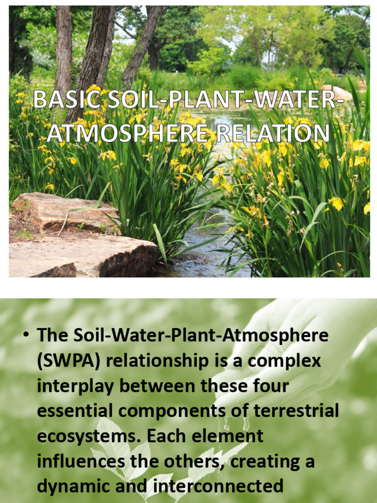 Soil Plant Water Relationship | PDF | Soil | Water