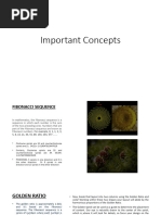 Fibonacci Spiral Worksheet | PDF