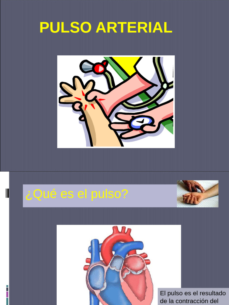 Características y Tipos de Pulso Arterial | PDF | Legumbres | Sistema ...