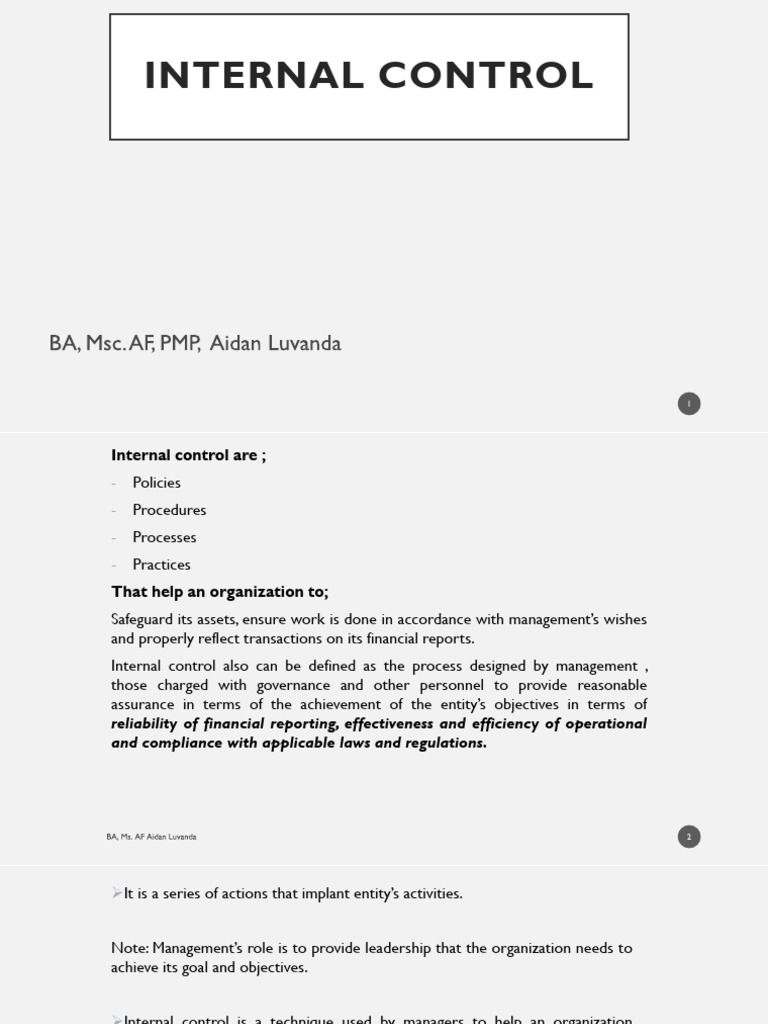 INTERNAL CONTROL | PDF | Internal Control | Risk