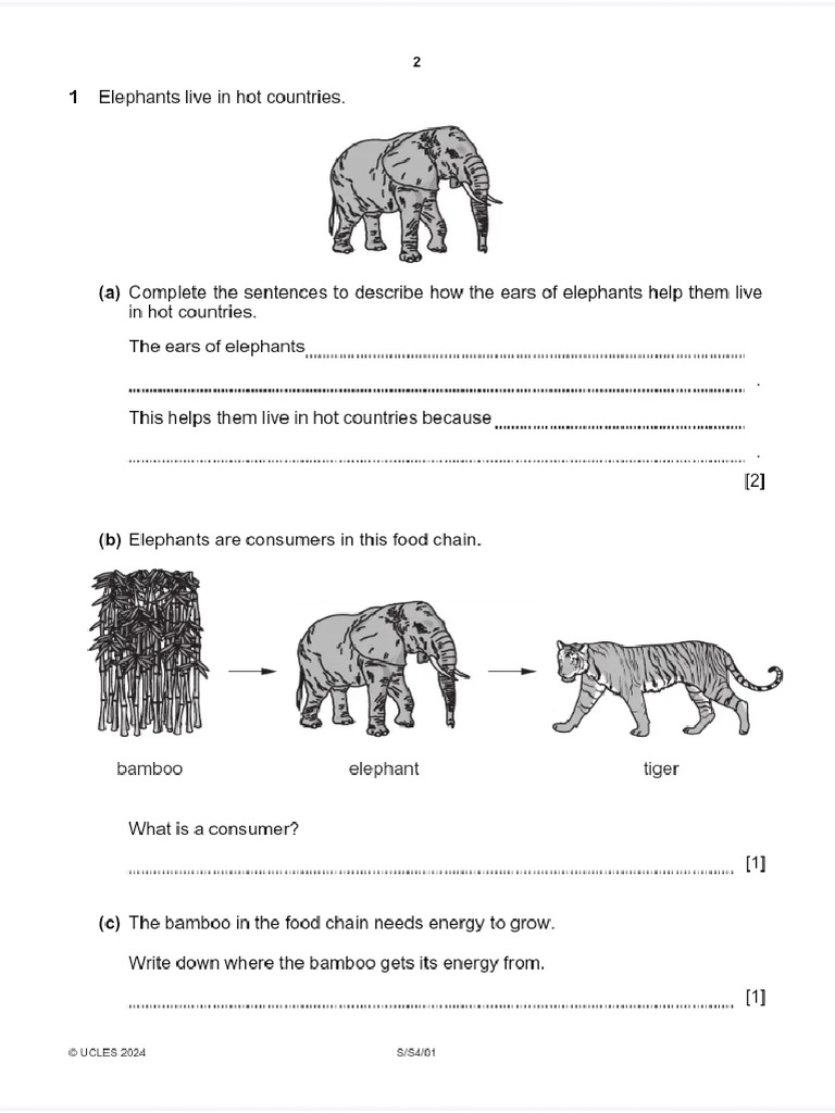 Science Test 3 | PDF