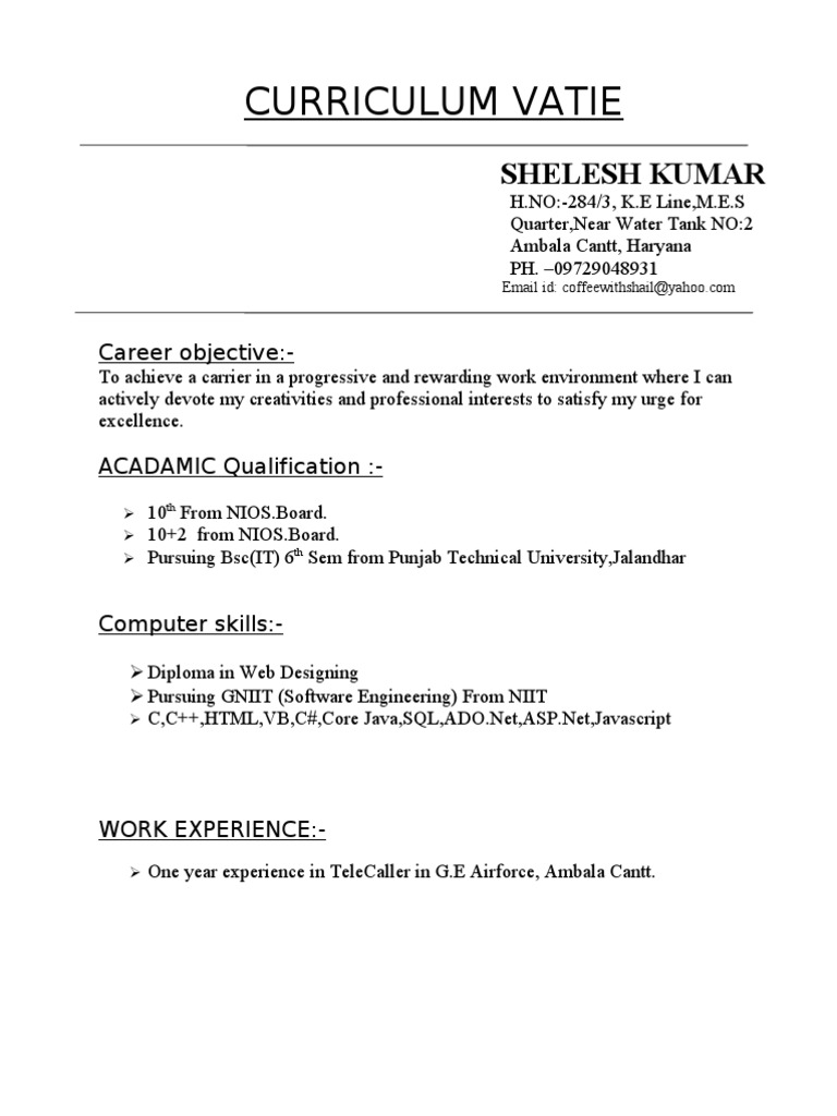 Resume of Shelesh Kumar | PDF