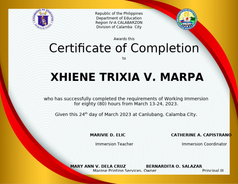 Cert Completion Work Immersion | PDF