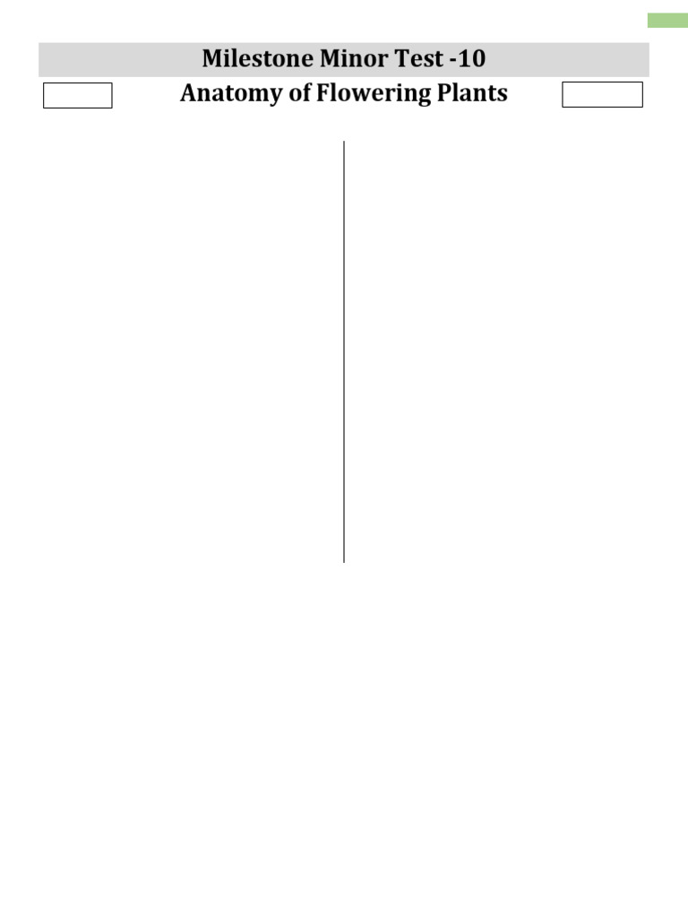 Milestone Test 10 Anatomy of Flowering Plants Class 11th Answer | PDF