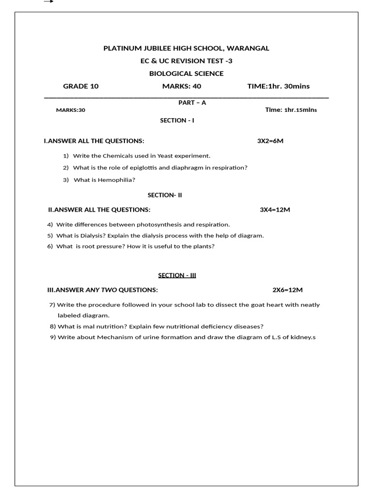 Bio Work Sheet | PDF