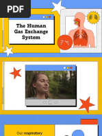 Structure and Function of The Gas Exchange System - Respiration and Gas ...