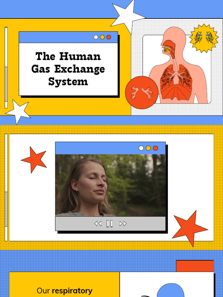 The Human Gas Exchange System Educational Video in Yellow Blue Simple ...
