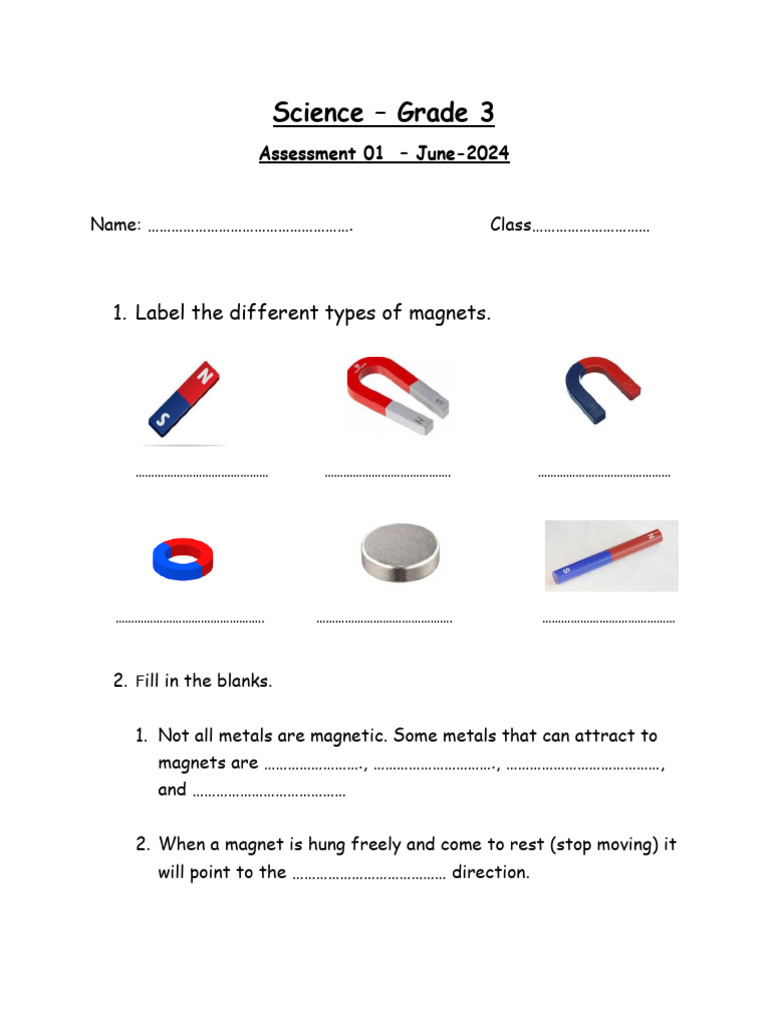 Grade 3 Science Magnet Assessment | PDF