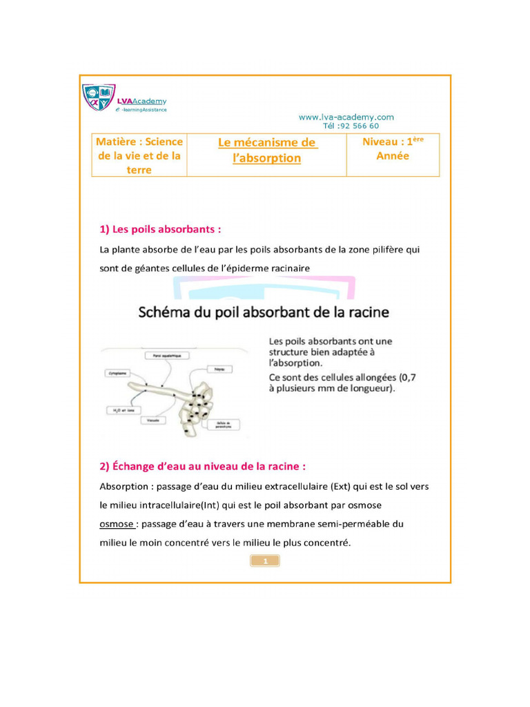 Resume-1ere-Le-Mecanisme-de-Labsorption | PDF