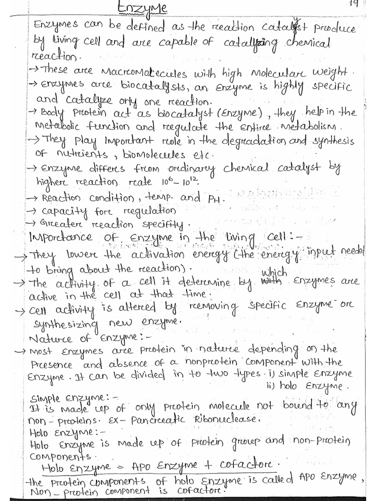 Enzyme Note PDF | PDF