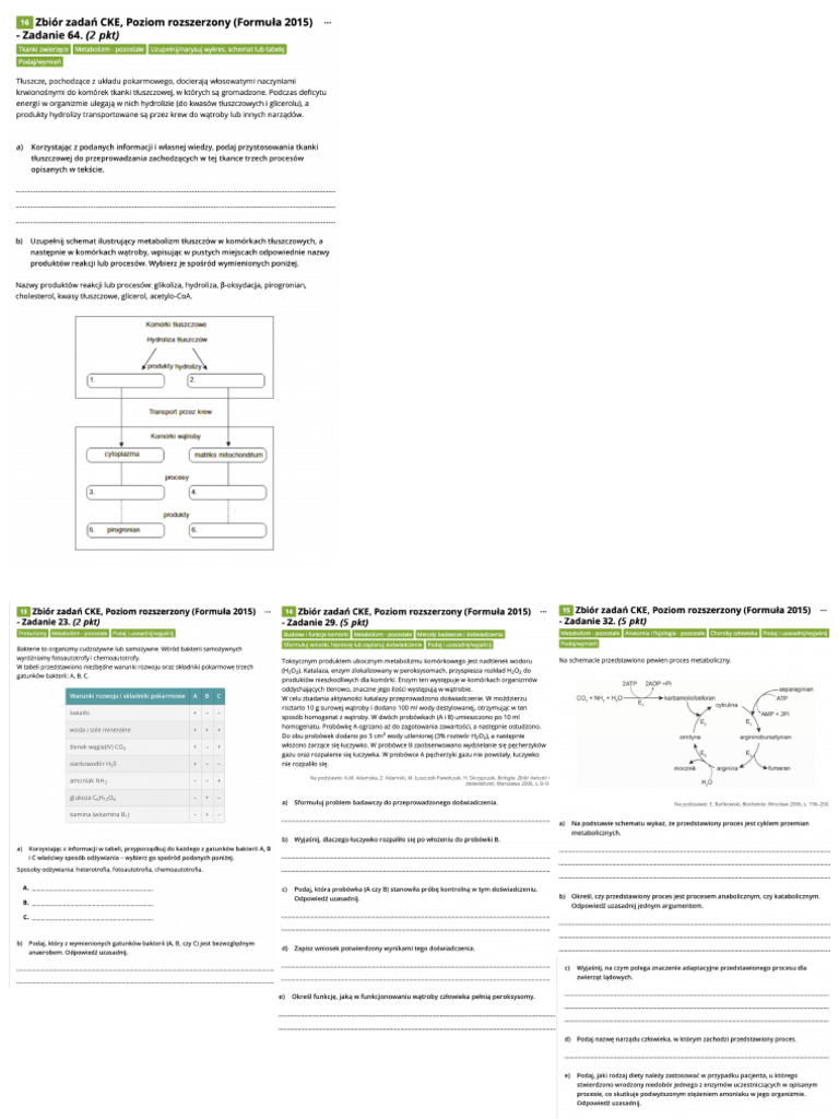 Metabolizm- inne | PDF