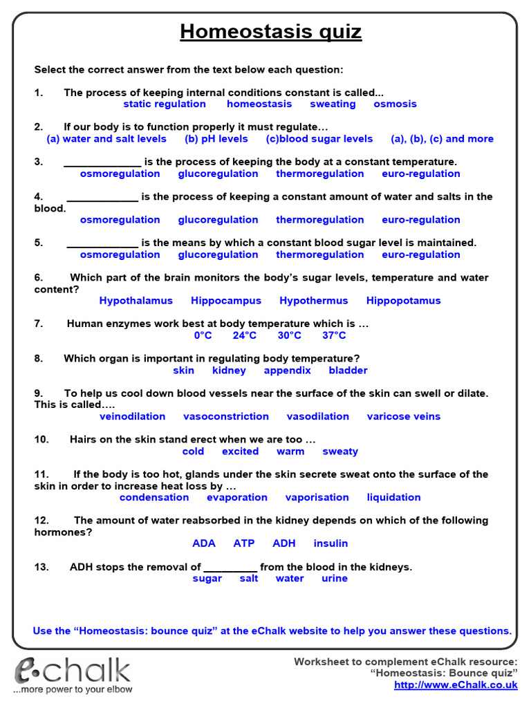 Homeostasis Quiz Worksheet | PDF | Homeostasis | Insulin