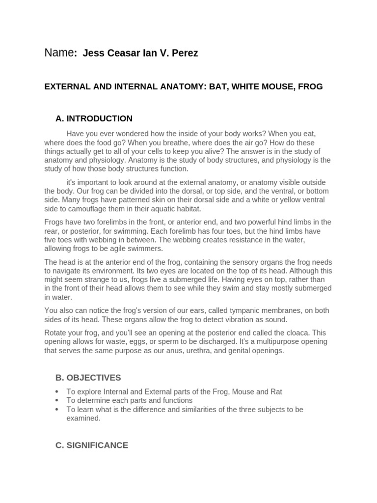 Anatomy of Rats, Mouse, Bat | PDF | Human Body | Abdomen