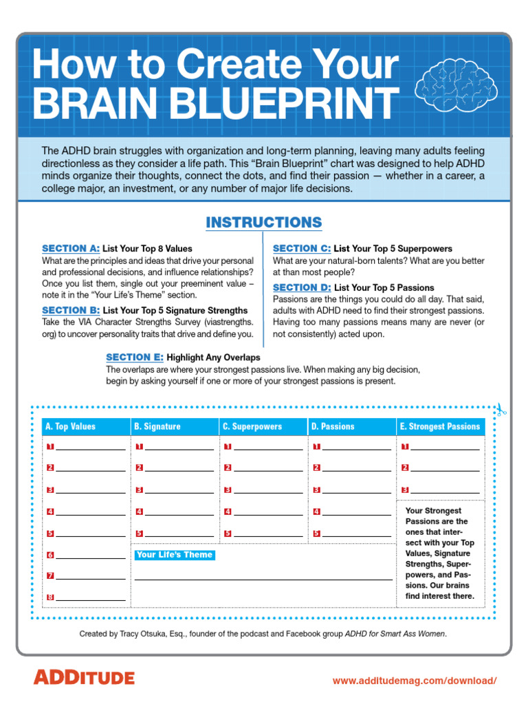 ADHD Brain Blueprint Guide | PDF | Psychology | Psychological Concepts
