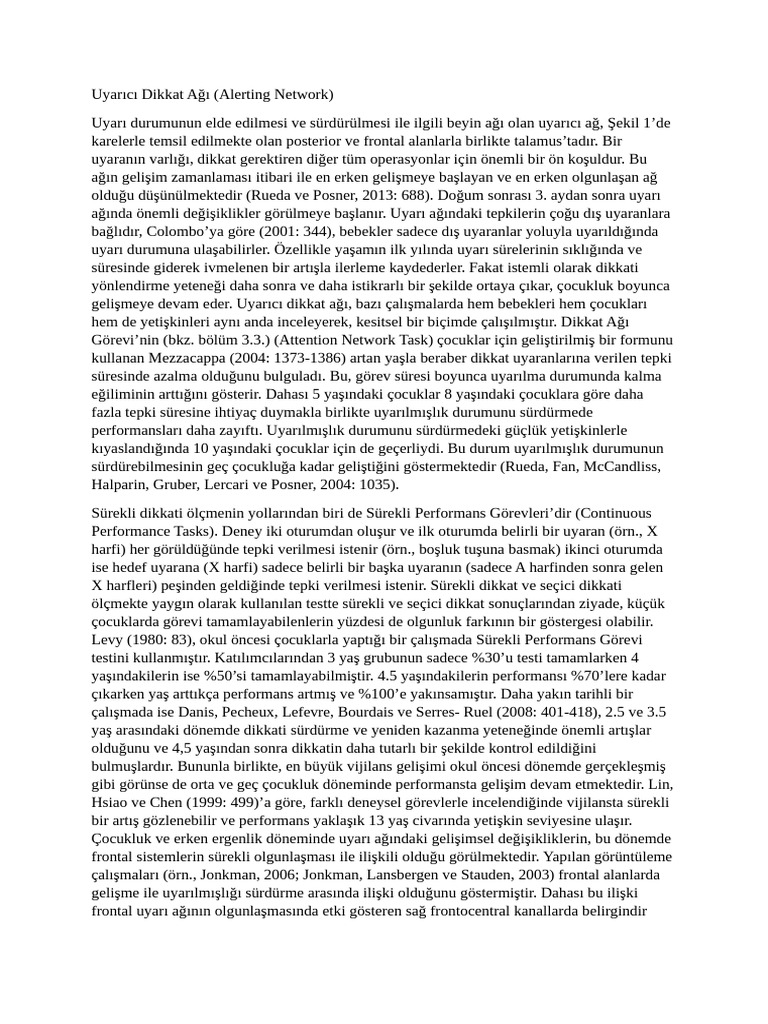 Dikkat Ağı-tez | PDF