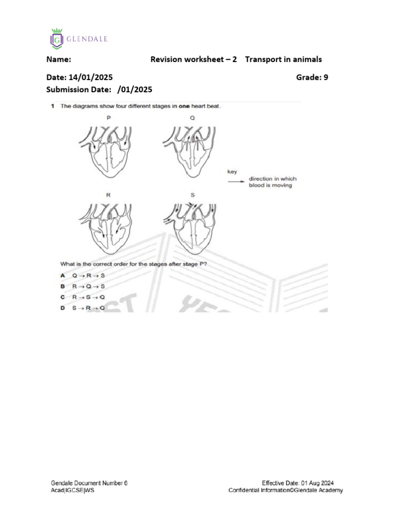 Transport in Animals Revision Worksheet | PDF