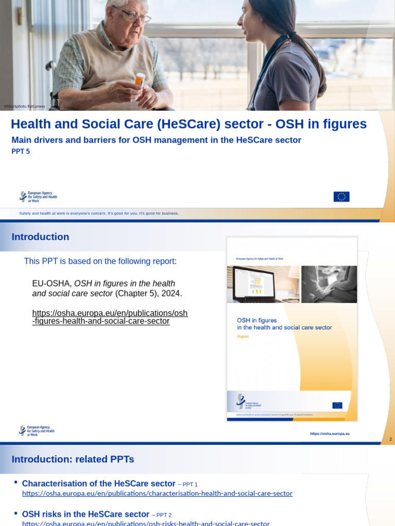 HeSCare OSH Management Insights | PDF | Occupational Safety And Health ...