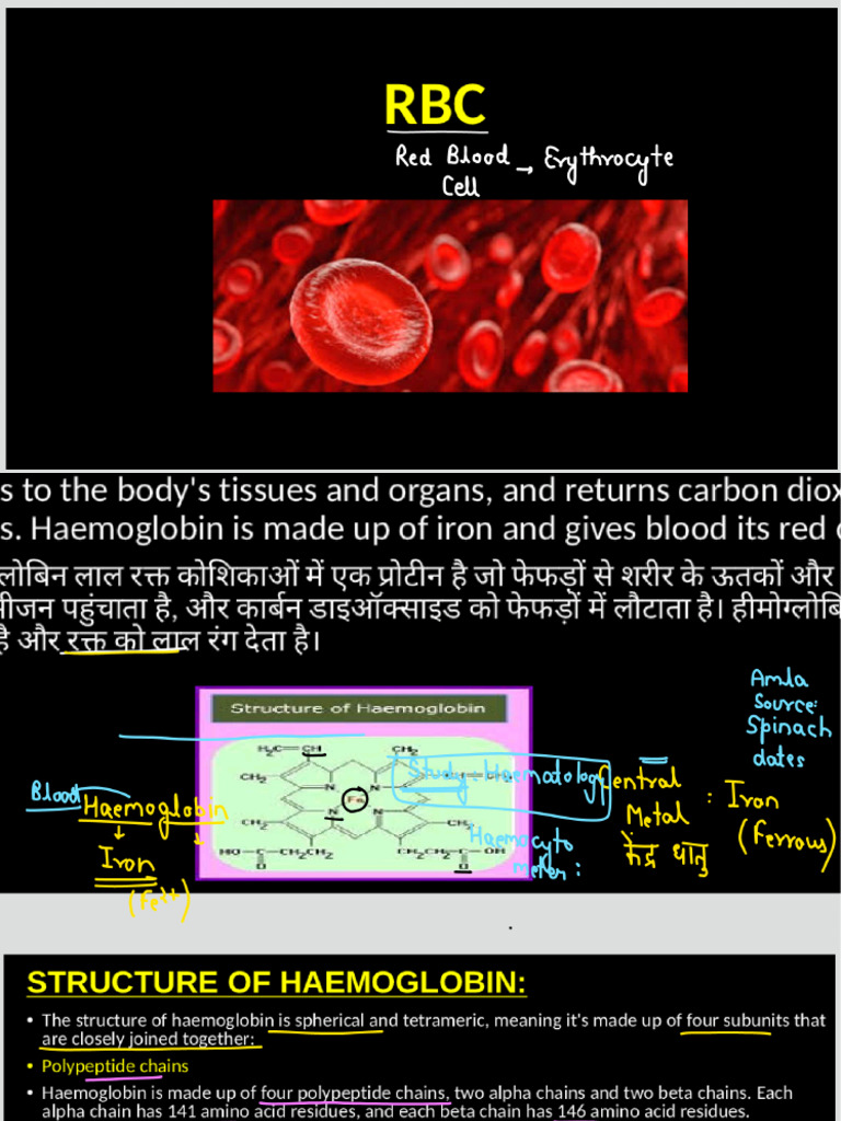 Blood Class - 2 (RBC) | PDF