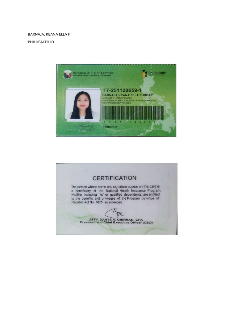 Guía sobre el ID de PhilHealth | PDF