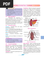 Cockroach Ncert | PDF