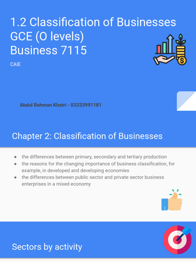 Business Classification and Sectors Overview | PDF | Economics | Economies