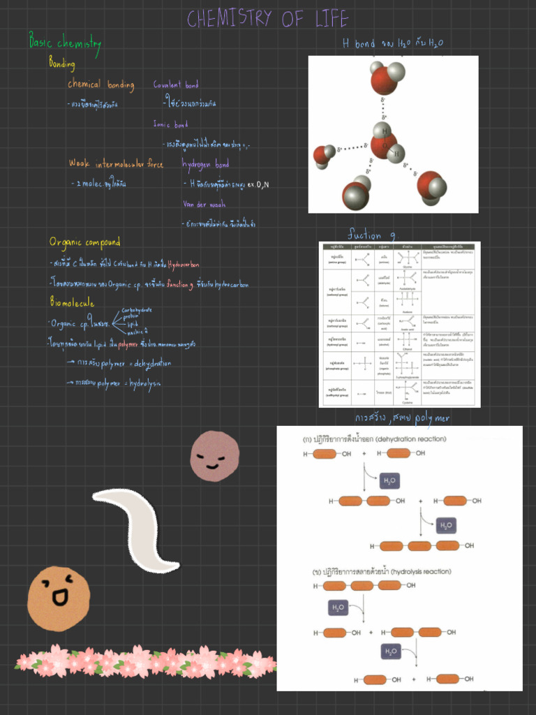 Chemistry of Life | PDF